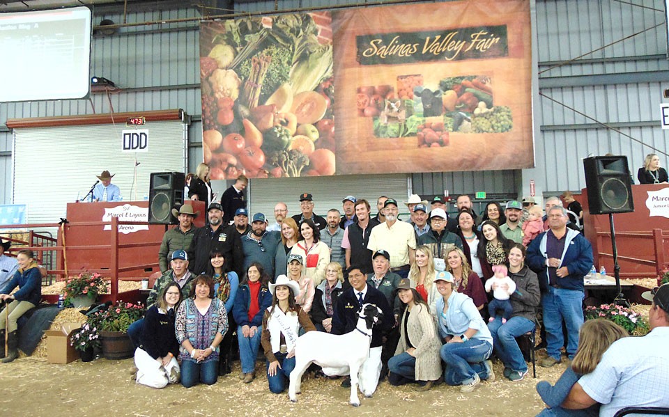 Heritage goat sells for $108K at livestock auction - Soledad Bee ...