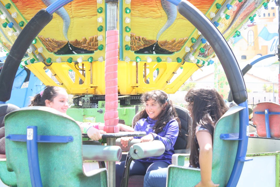 Whirl of fun - Soledad Bee | Soledad, CA