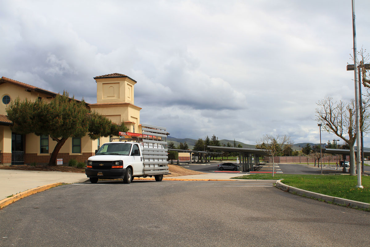 VALLEY VIEWS | April 6, 2020 Photo Gallery - Soledad Bee | Soledad, CA